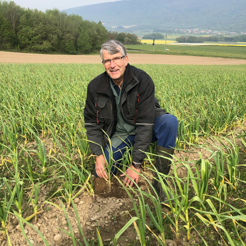 Have the Bio courgette yellow, green from Domaine des Biolettes delivered