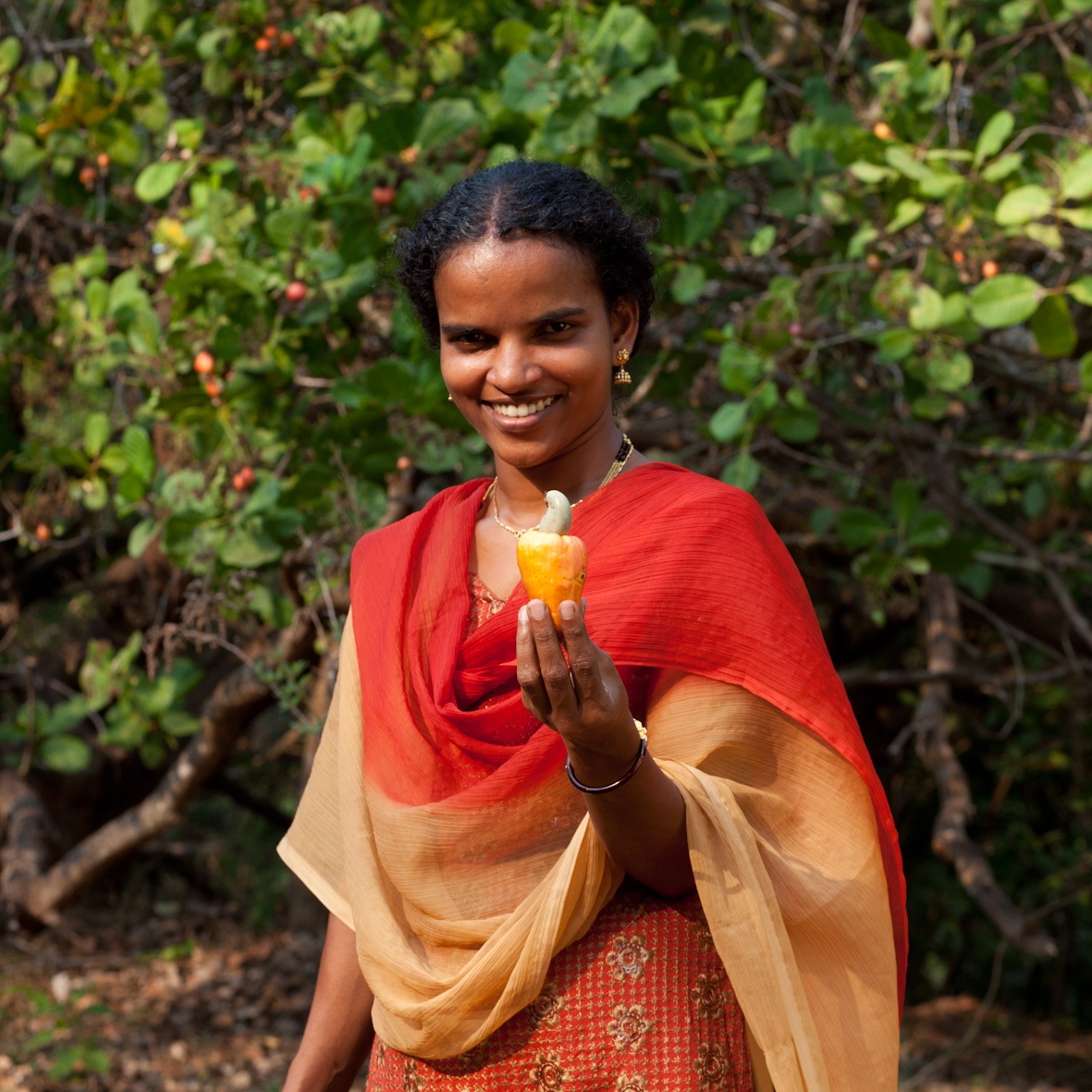 Bio Cashew geröstet mit Meersalz von Pakka liefern lassen