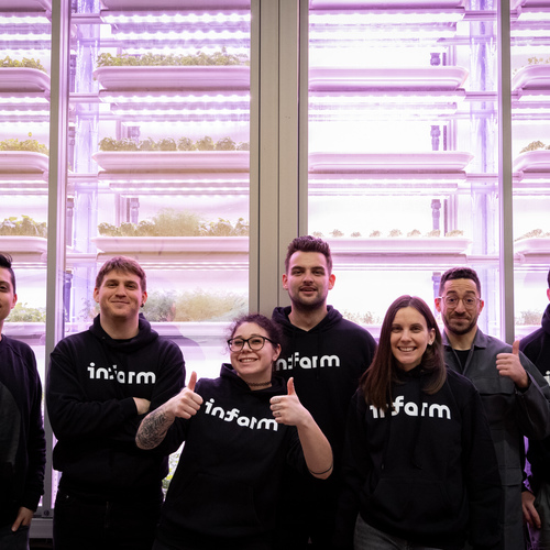 Infarm Blutampfer, 15g von Infarm schnell liefern lassen