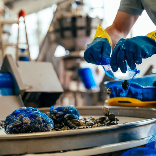 Mini Burrata 550g von Zonca frisch & bequem liefern lassen