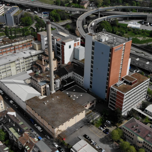 Thomy Mayonnaise française, 170g von Thomy liefern lassen
