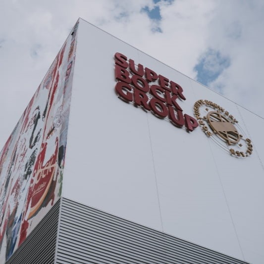 Original Lager Bier, 24x33cl von Super Bock liefern lassen