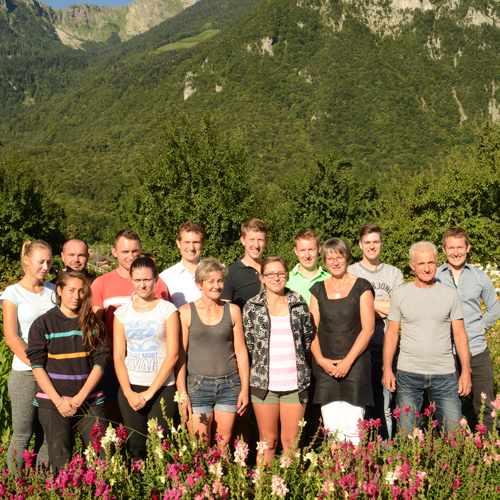 Bio Samen Sonnenhut Echinacea von Zollinger Bio liefern lassen