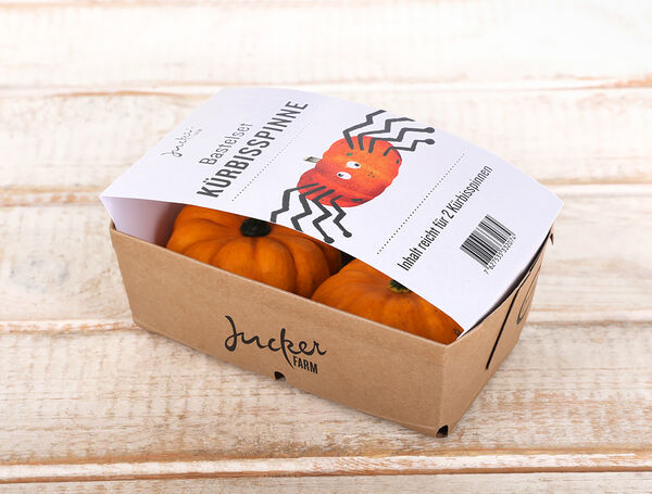 Have the Craft Set Pumpkin Spider from Jucker Farm delivered