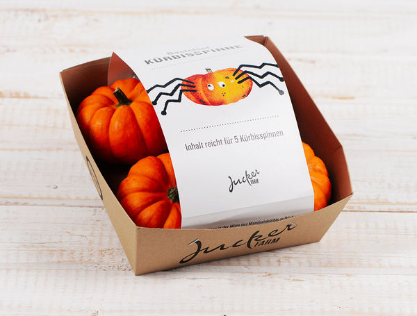 Have the Craft Set Pumpkin Spider from Jucker Farm delivered