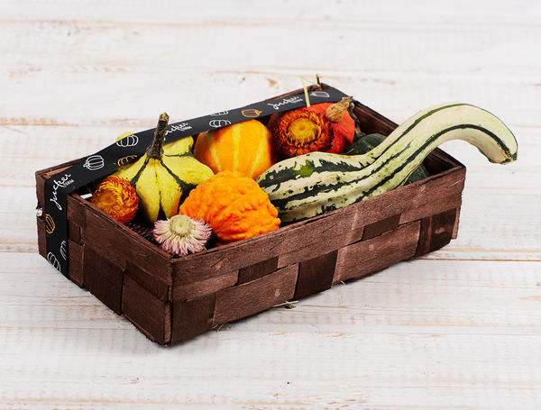 Have the Jucker Pumpkin Set brown from Jucker Farm delivered