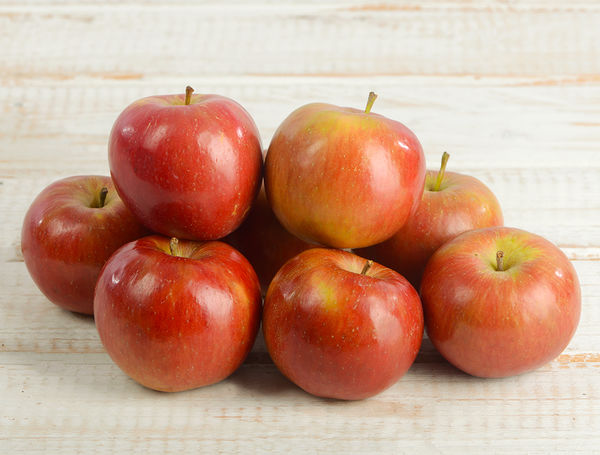 Apfel Ladina von Jucker frisch & bequem liefern lassen!