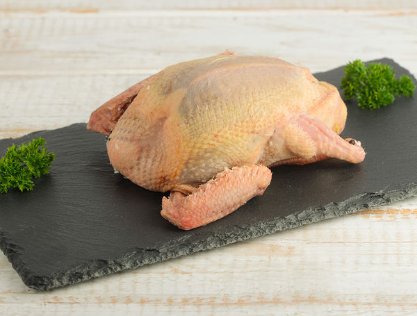 Caille Jumbo sans Tête, env. 200g de Léon Dupont chez vous