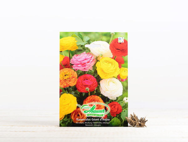 Have Ranunculus Géant d’Anjou Mix from Mauser delivered