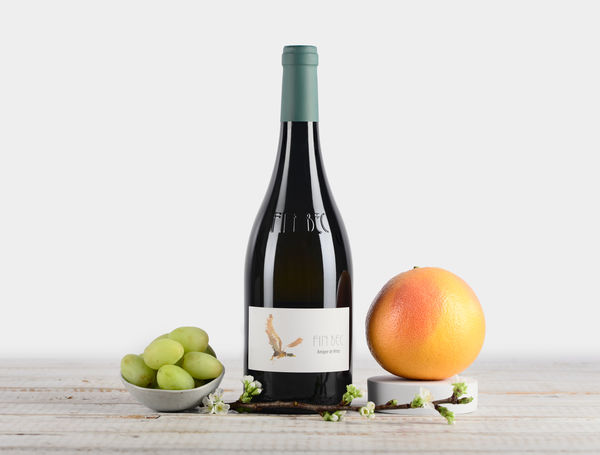 Amigne de Vétroz AOC, 75cl von Cave Fin Bec liefern lassen