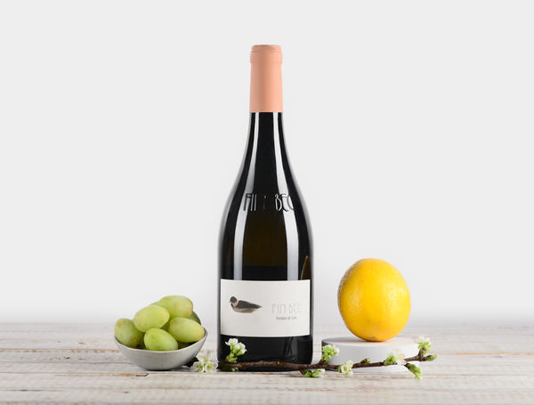 Have Fendant de Sion AOC, 75cl from Cave Fin Bec delivered