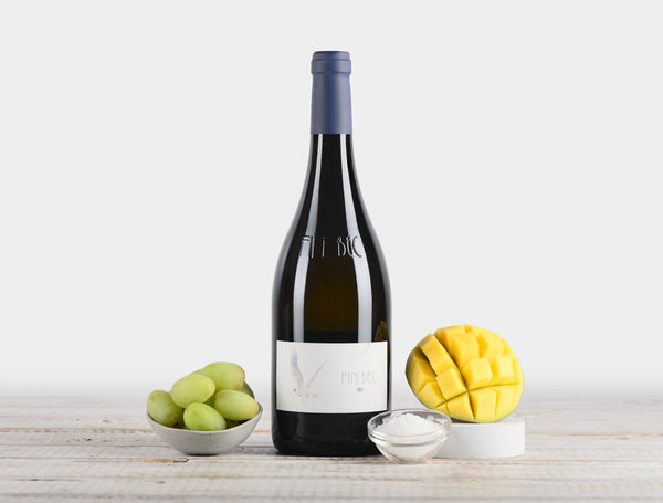 Have Rhône blanc Mer Sél, 75cl from Cave Fin Bec delivered