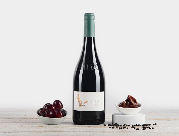 Syrah du Valais AOC, 75cl von Cave Fin Bec liefern lassen