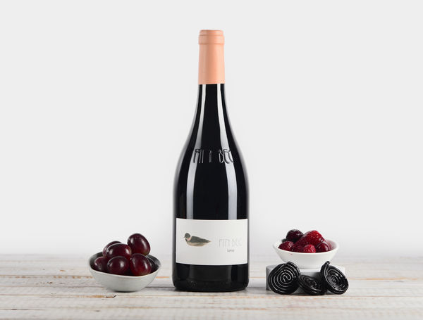 Gamay du Valais AOC, 75cl von Cave Fin Bec liefern lassen