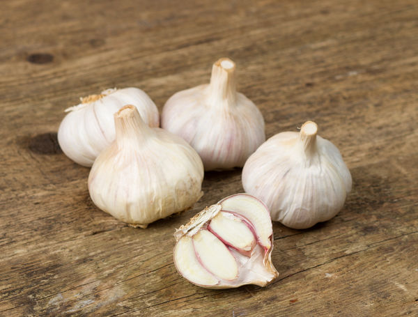 Bio Ail de Bhiocarrion rapidement et facilement chez vous