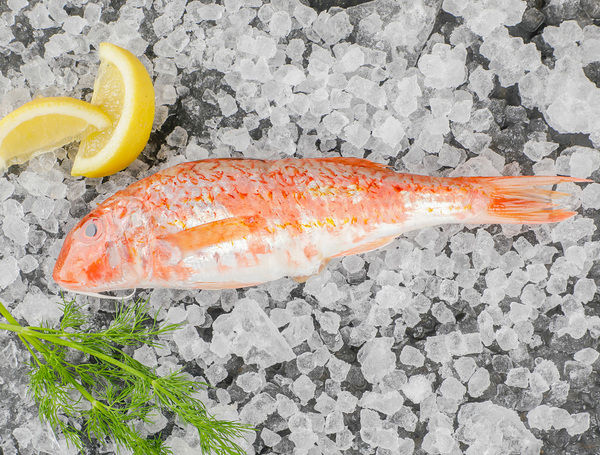 Rouget Barbets geschuppt 250g von Hennequin liefern lassen