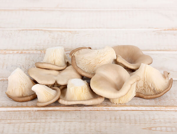 Austernpilze 200g von Pilzhandel Hugo Dubno liefern lassen