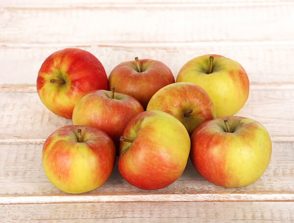 Bio Saisonäpfel von Räss Wildbeeren schnell liefern lassen