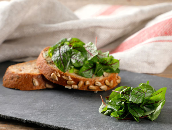 Mini feuilles d'oseille à veines rouges, 30g de 2BFresh chez vous