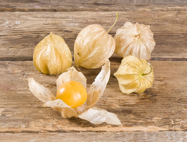 Have the Physalis from Andes Fruits delivered