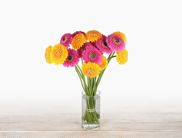 Gerondo, 20 Stiele von Blumenpost schnell liefern lassen