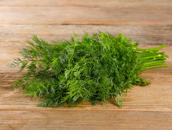 Dill, 20g von Egli's frische Küchen-Kräuter liefern lassen