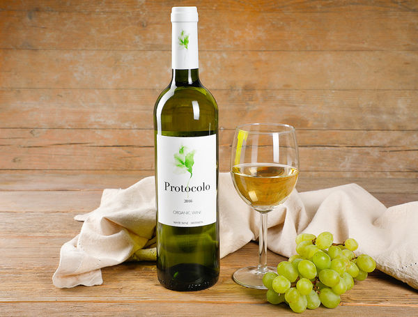 Bio Protocolo blanco VdT, 75cl von Dominio de Eguren liefern lassen