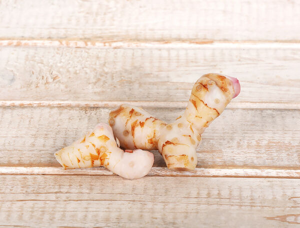 Galgantwurzel von der Reust frisch liefern lassen