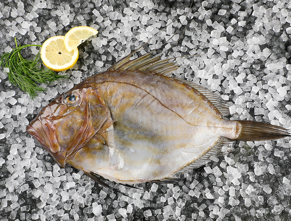 St. Peter's Fish delivered from Poissonnerie Hennequin