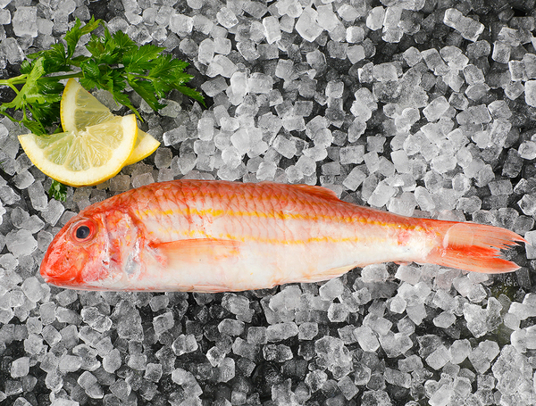 Rotbarbe ganz, ausgenommen von Hennequin liefern lassen