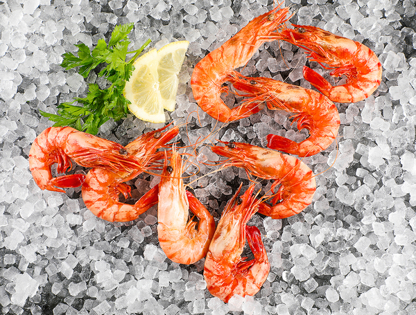 Crevetten ganz & gekocht von R&O Seafood Gastronomy liefern lassen