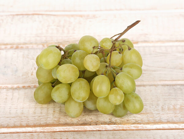 Have the Organic grapes Garantos from Räss Wildbeeren delivered