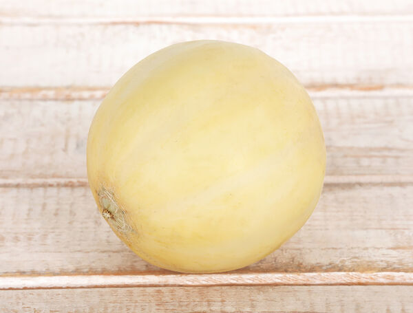 Melons Jolly de Sermide Ortofruit rapidement chez vous