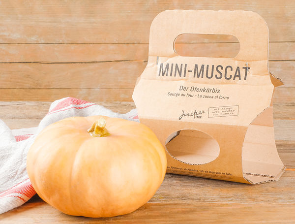 Mini nutmeg pumpkin in a box delivered from Jucker Farm