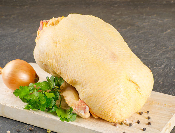 Junge Ente "Jaune de Barbarie" von Lehnherr liefern lassen