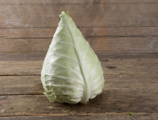 Have the White cabbage head from Jucker Farm delivered!