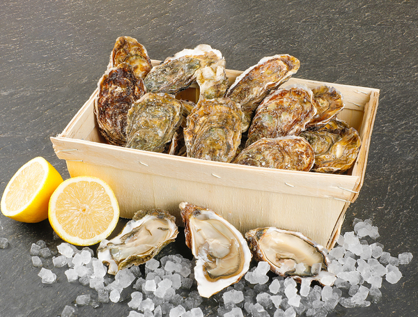 Fine de Claire n° 3, 12 Stück von Huîtres Cadoret liefern lassen