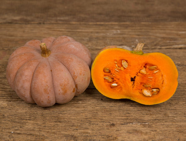 Bio Mini Kürbis Muskat von Rheinau schnell liefern lassen