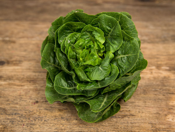Bio Mini lettuce green – Bio Suisse Knospe, Gluten-free – Farmy.ch