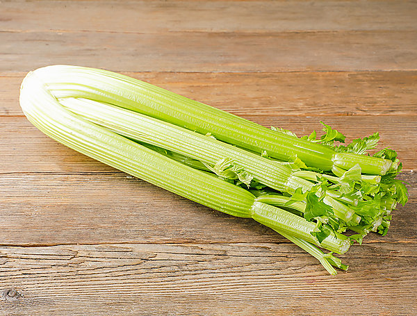 Bio Stangensellerie von Bioleguma schnell liefern lassen