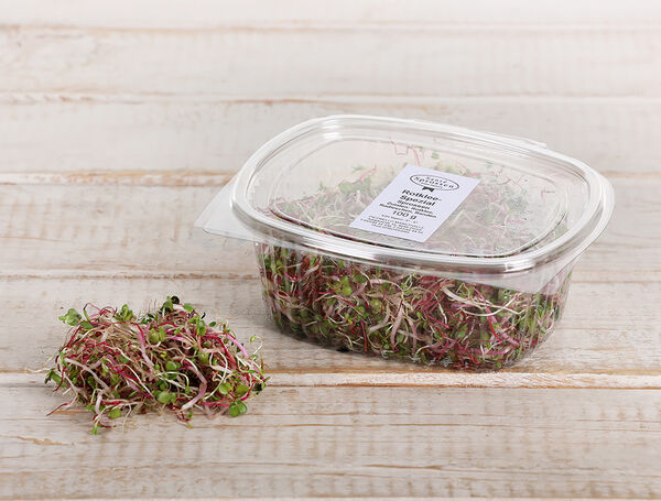 Sprossen Rotklee Spezial 100g von Sprossana liefern lassen