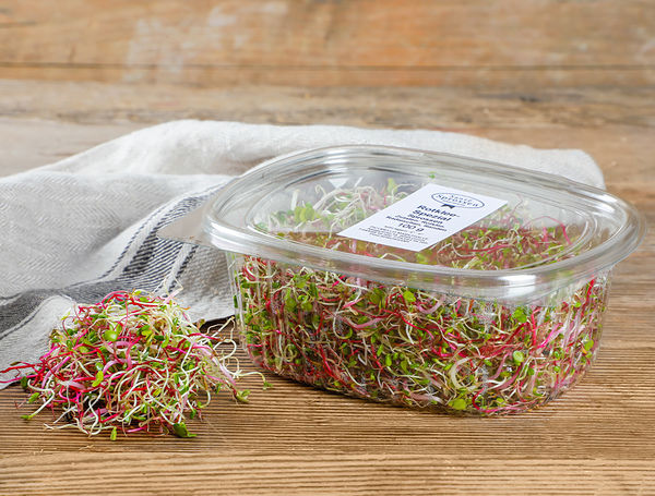 Sprossen Rotklee Spezial 100g von Sprossana liefern lassen