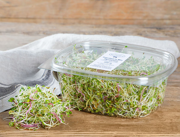 Sprossen Sandwich Mix von Sprossana liefern lassen