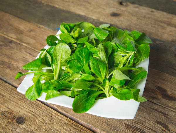 Lamb's lettuce