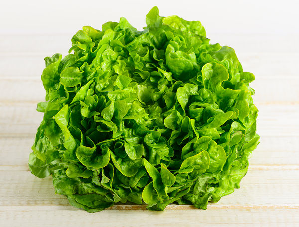 Bio Eichblatt grün – Bio Suisse Knospe, Suisse Garantie – Farmy.ch