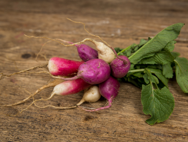 Bio Radiesli farbig, Bund – Bio Suisse Knospe, Suisse Garantie – Farmy.ch