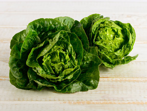 Bio Mini Romaine lettuce, green – Bio Suisse Knospe, Gluten-free – Farmy.ch