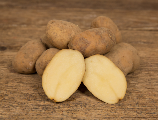 Bio Golden Wonder potatoes, unwashed