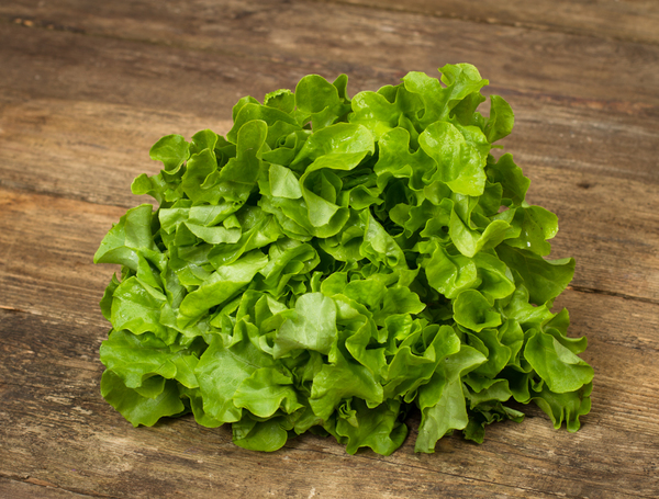 Bio Eichblatt grün von Pro Natura schnell liefern lassen