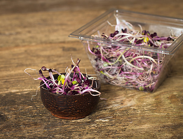 Bio Sprossen Rettich rot von Biohof Schmid liefern lassen